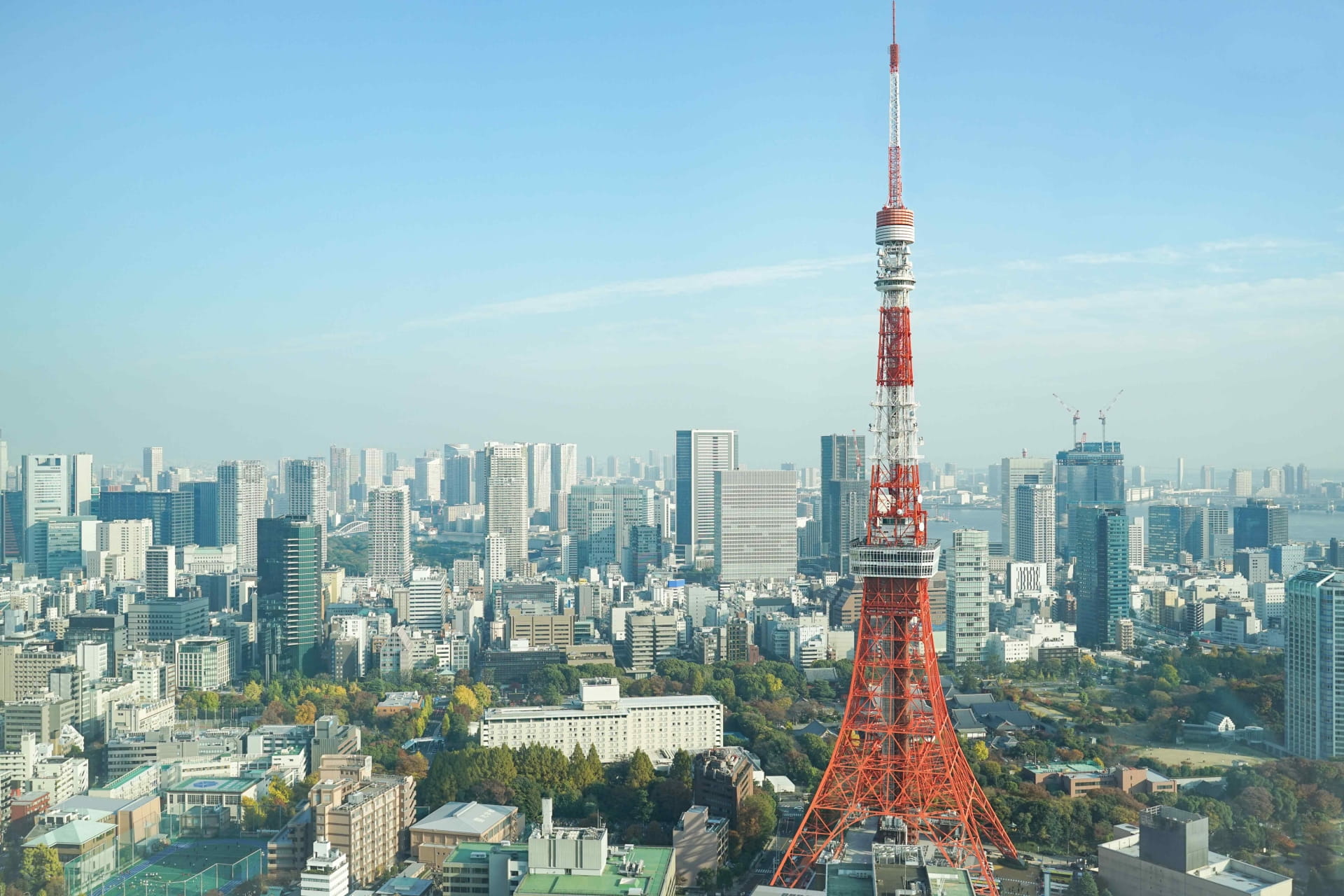 東京都 | SpotsNinja